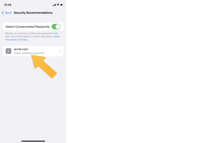 How to Fix a Compromised Password on Your iPhone | Certo Software