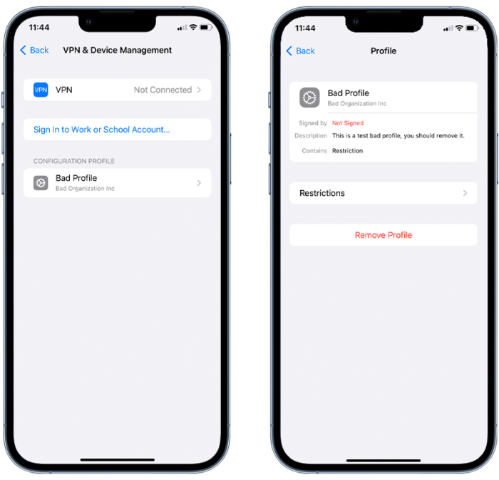 How to Remove Spyware from an iPhone or iPad | Certo Software